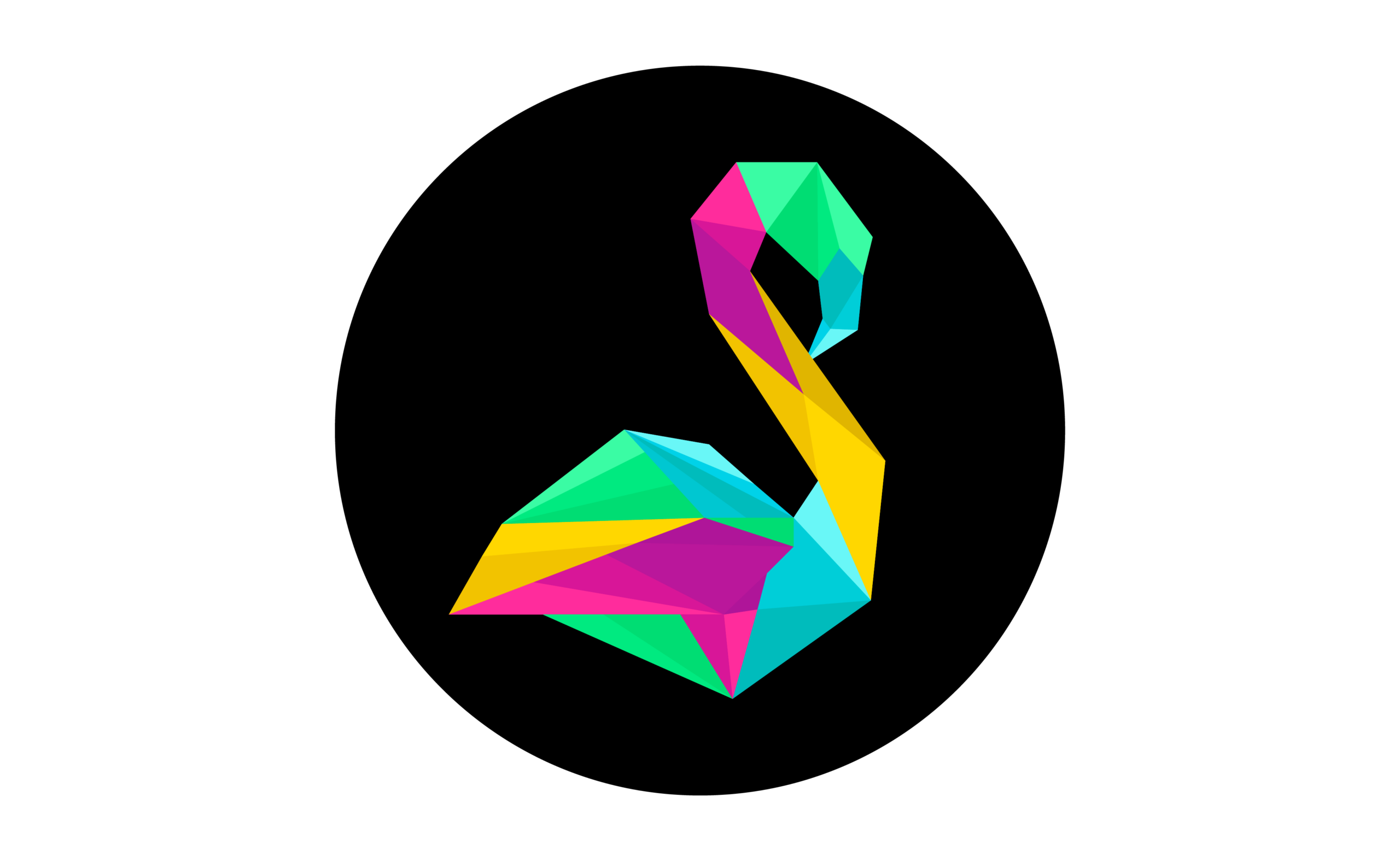 Influencer Campaign with Rawters | FlowFlamingo